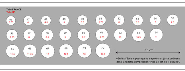 Baguier Planetys à Imprimer